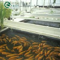 China Galvanized Steel Structure Venlo Glass Greenhouse for Growing Vegetable Fruits Flowers for sale