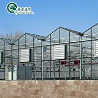 China Galvanized Steel Structure Venlo Glass Greenhouse for Growing Vegetable Fruits Flowers for sale