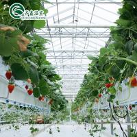 China Galvanized Steel Structure Venlo Glass Greenhouse for Growing Vegetable Fruits Flowers for sale