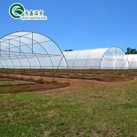China Hot Galvanized Aluminum Steel Structure Cooling Greenhouse for Growing Lettuce for sale