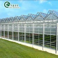 China Good Light Permeability Essential for Venlo Glass Greenhouse in Agricultural Industry for sale