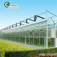 China Good Light Permeability Essential for Venlo Glass Greenhouse in Agricultural Industry for sale