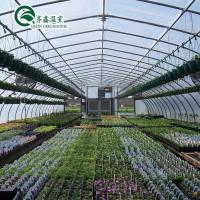 China Single Span Greenhouse Mushroom Growing Equipment Covered with Transparent Plastic Film for sale