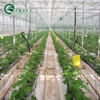 China Film Cover Double Layer Hydroponics Grow Kit System for Greenhouse for sale