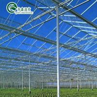 China Good Light Permeability Essential for Venlo Glass Greenhouse in Agricultural Industry for sale