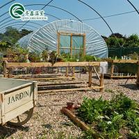 China Single Span Greenhouse Mushroom Growing Equipment Covered with Transparent Plastic Film for sale
