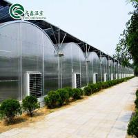 China Large Steel Greenhouse Structure Shed Design With 150/200micro PE Film Covering for sale
