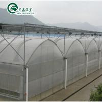 China Large Steel Greenhouse Structure Shed Design With 150/200micro PE Film Covering for sale