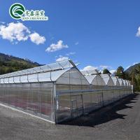 China Large Steel Greenhouse Structure Shed Design With 150/200micro PE Film Covering for sale