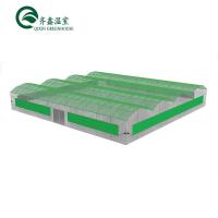 China Large Steel Greenhouse Structure Shed Design With 150/200micro PE Film Covering for sale