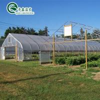 China Small Garden Greenhouses With Double Layer And Automatic Control Box for sale