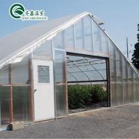 China Small Garden Greenhouses With Double Layer And Automatic Control Box for sale