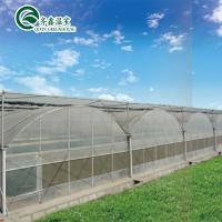 China Greenhouse Aquaponics Hydroponic Growing System with Cooling and Ventilation Options for sale