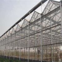 China Large Venlo Glass Greenhouse Perfect Fit For Plant Growth Needs for sale