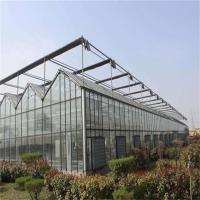 China Large Venlo Glass Greenhouse Perfect Fit For Plant Growth Needs for sale