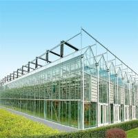 China Large Venlo Glass Greenhouse Perfect Fit For Plant Growth Needs for sale
