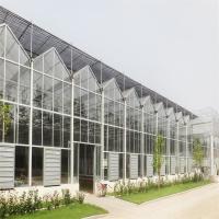 China Large Venlo Glass Greenhouse Perfect Fit For Plant Growth Needs for sale