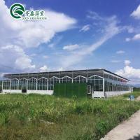 China Large Glass Covered Garden Greenhouses for Versatile Planting Options for sale