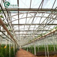 China PE Grow Bags and Automatic Control System Ideal for South Korea Agricultural Greenhouse for sale