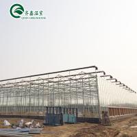China Large Glass Covered Garden Greenhouses for Versatile Planting Options for sale