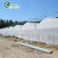 China PE Grow Bags and Automatic Control System Ideal for South Korea Agricultural Greenhouse for sale