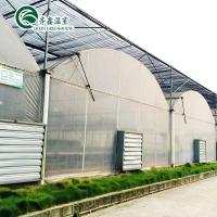 China Plastic Film Covered Polytunnel Greenhouse with Hydroponic System and Ventilation for sale