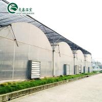 China Agricultural Greenhouse Inside and Outside Shading System with Advanced Seeding Machine for sale