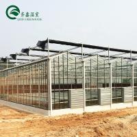 China Venlo Galvanized Steel Pipe Greenhouse with Tower Garden and Optimal Shading System for sale