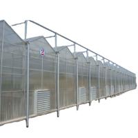 China Polycarbonate Sheet Covering Transparent Solar Panels for Greenhouses in High Demand for sale