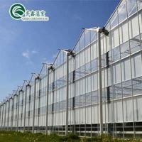 China Polycarbonate Sheet Covering Transparent Solar Panels for Greenhouses in High Demand for sale