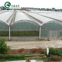 China 30 x 100 Vegetable Growing Film Covered Multi-span Arch Greenhouse with PO Cover for sale