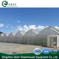 China 30 x 100 Vegetable Growing Film Covered Multi-span Arch Greenhouse with PO Cover for sale