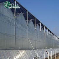 China Polycarbonate Sheet Covering Transparent Solar Panels for Greenhouses in High Demand for sale