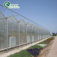 China Polycarbonate Sheet Covering Transparent Solar Panels for Greenhouses in High Demand for sale