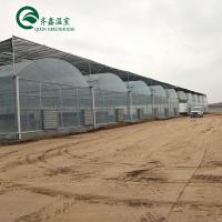 China 30 x 100 Vegetable Growing Film Covered Multi-span Arch Greenhouse with PO Cover for sale