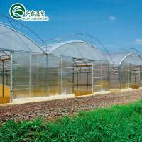 China Double Layer PO Greenhouse Tunnel for Precise Temperature Control for sale