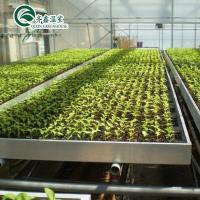 China Double Layer PO Greenhouse Tunnel for Precise Temperature Control for sale