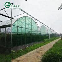 China Multi-Span Agricultural Greenhouses Double Layer Vertical Hydroponic System Upgrade for sale