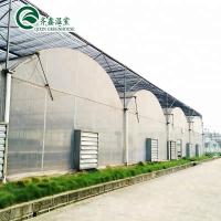 China Multi-Span Agricultural Greenhouses Double Layer Vertical Hydroponic System Upgrade for sale