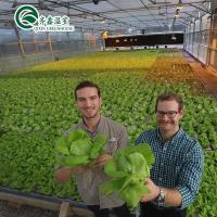 China Multi-Span Agricultural Greenhouses with PO Film Redefining Indoor Hydroponic Systems for sale