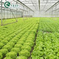 China Multi-Span Agricultural Greenhouses with PO Film Redefining Indoor Hydroponic Systems for sale