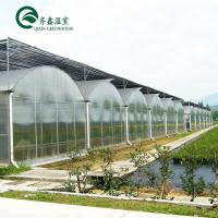 China Multi-Span Agricultural Greenhouses with PO Film Redefining Indoor Hydroponic Systems for sale