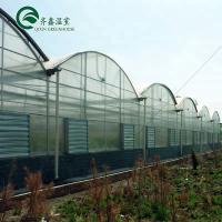 China Multi-Span Agricultural Greenhouses with PO Film Redefining Indoor Hydroponic Systems for sale
