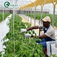 China Large Hydroponics Pump for Maximum Growth of Vegetables Fruits and Flowers for sale