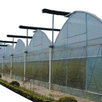 China Inside Shading System Mushroom Greenhouse Equipment for Vegetable Fruits and Flowers for sale