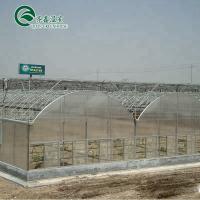 China Large-Scale Farming Container with Multi-Span Agricultural Greenhouses for sale