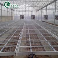 China Large-Scale Farming Container with Multi-Span Agricultural Greenhouses for sale