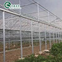 China Large-Scale Farming Container with Multi-Span Agricultural Greenhouses for sale