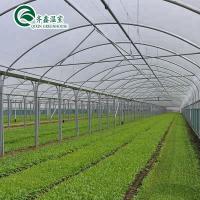 China Large-Scale Farming Container with Multi-Span Agricultural Greenhouses for sale