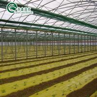 China Large-Scale Farming Container with Multi-Span Agricultural Greenhouses for sale